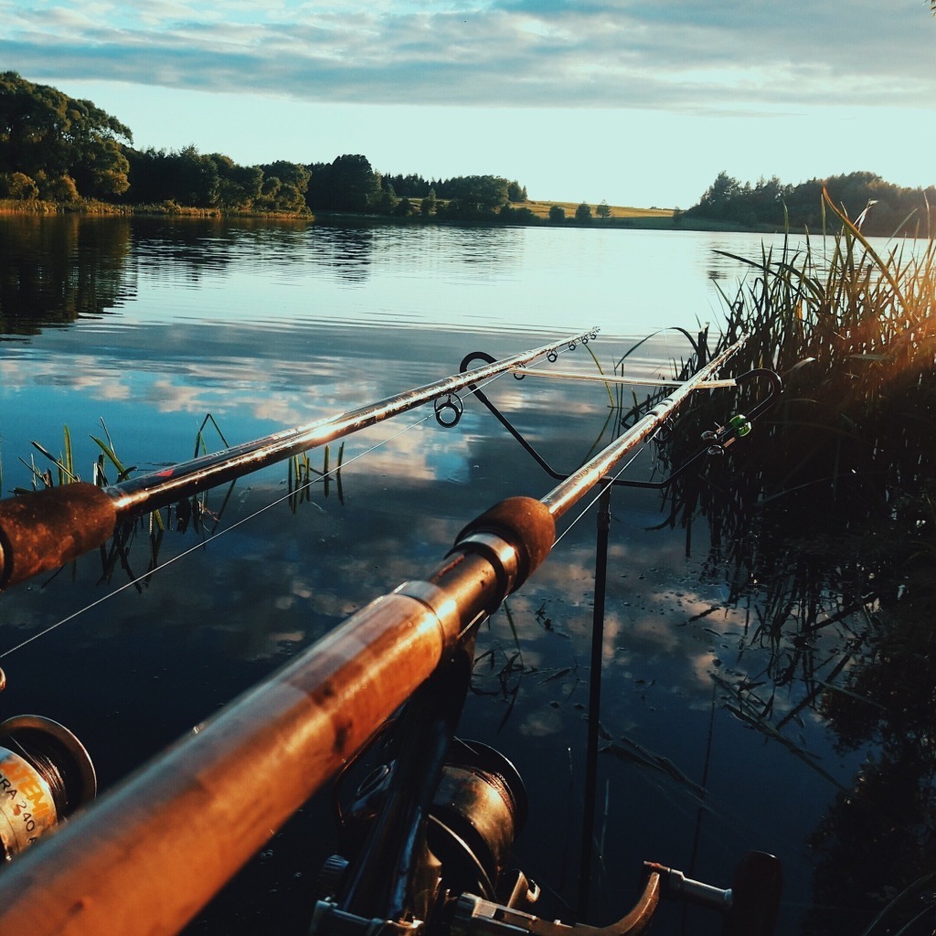 Is there anything to do in Lake Marion, SC? - Carolina Properties at ...